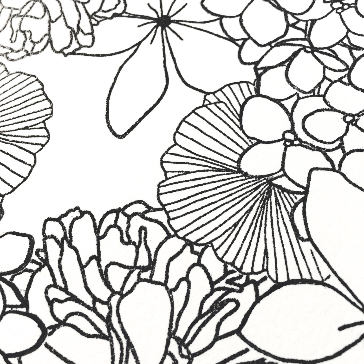 30 Day Coloring Challenge Final Day and Review! - all the sparkle