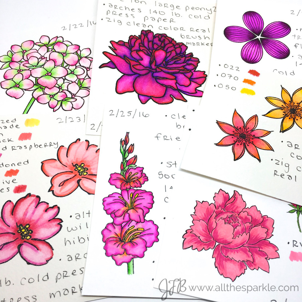 30 Day Coloring Challenge Final Day and Review! - all the sparkle