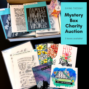 Giving Tuesday Mystery Box Auction - all the sparkle